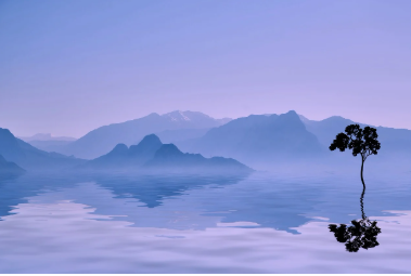 🌳 25 Powerful Tree Dream Interpretations, tree dream, dream of planting ...